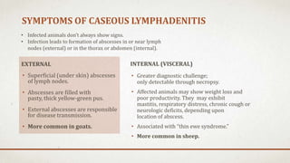 Disease management | PPTX