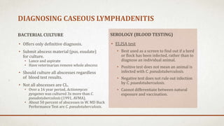 Disease management | PPTX