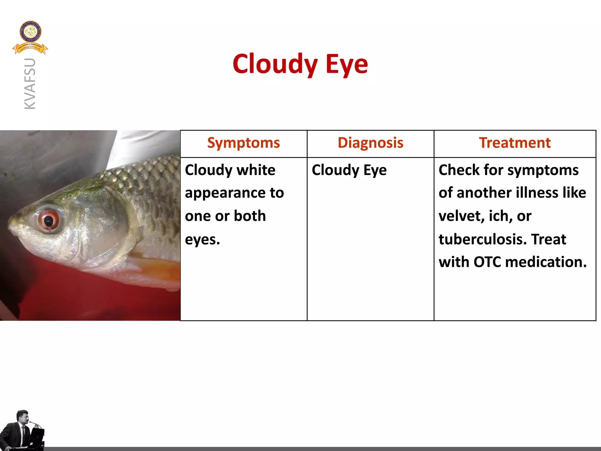 Disease management in Aquaculture | PDF