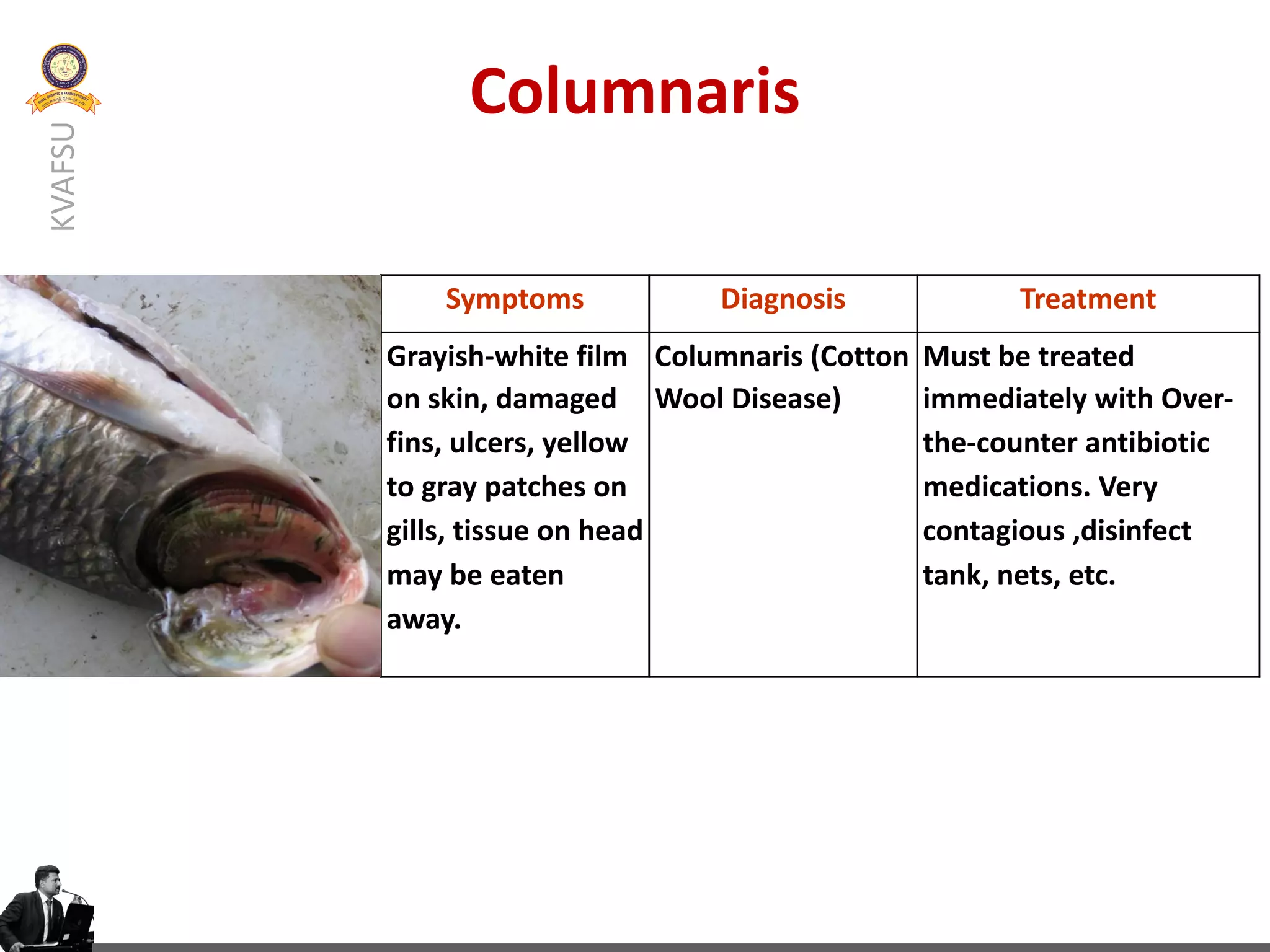 Disease management in Aquaculture | PDF