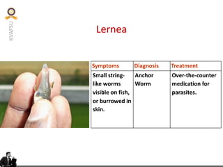 Disease management in Aquaculture | PDF