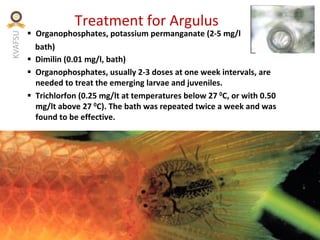 Disease management in Aquaculture | PDF