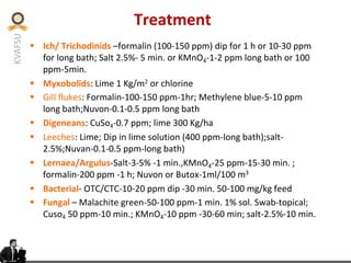 Disease management in Aquaculture | PDF