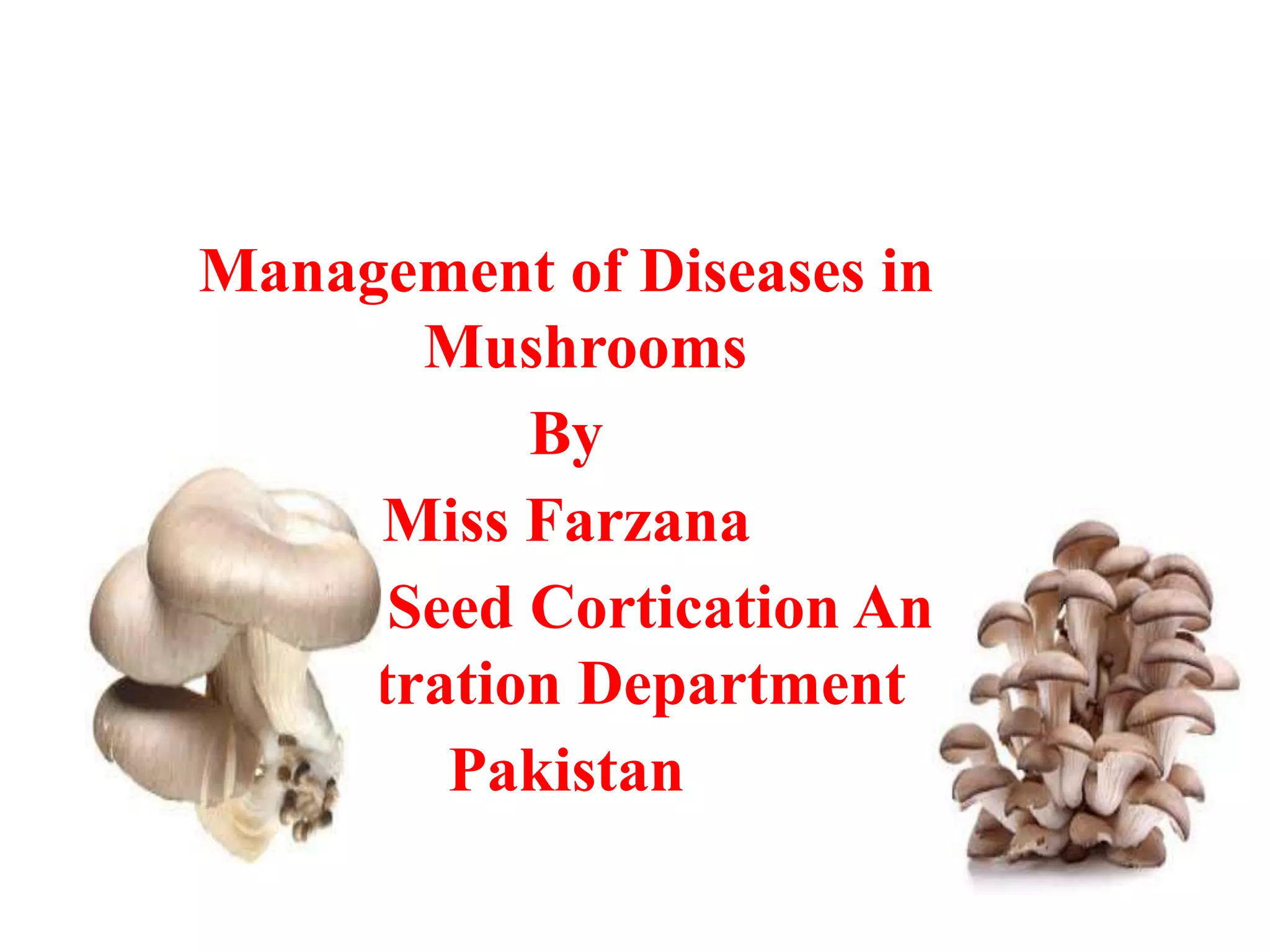 Disease managment in Mushroom A Presentation By Mr Allah Dad khan ...