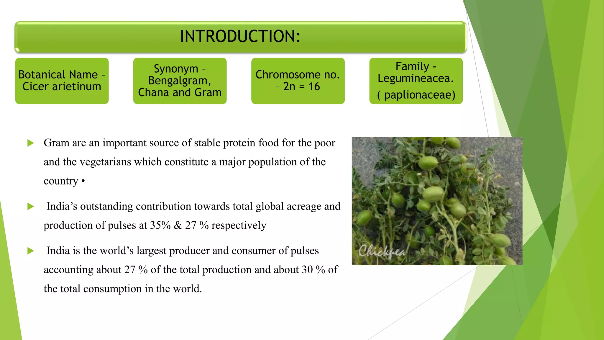 Disease name and their control of gram | PPTX | Agriculture | Industries