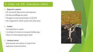 Disease name and their control of gram | PPTX
