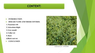 Disease name and their control of gram | PPTX