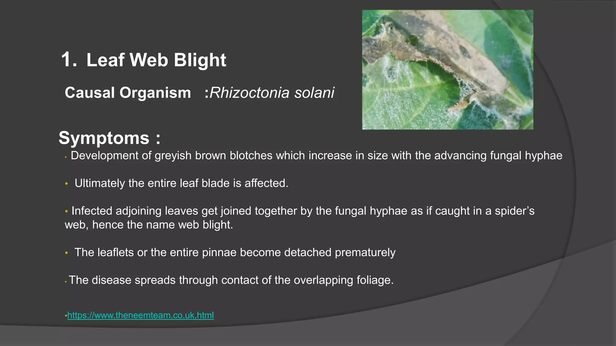 Diseases of Neem; | PPTX