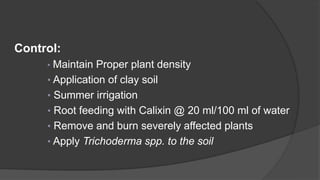 Diseases of Neem; | PPTX