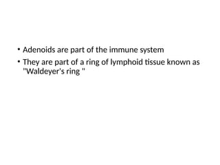 ANATOMY AND DISEASES OF ADENOIDS-WPS Office_1.pptx