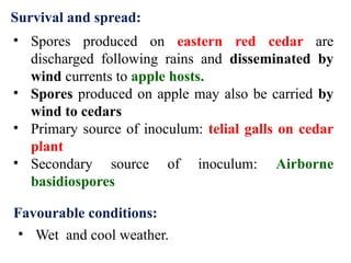 Disease of apple in detail study with example.pptx