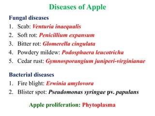 Disease of apple in detail study with example.pptx