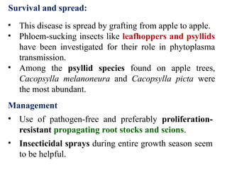 Disease of apple in detail study with example.pptx
