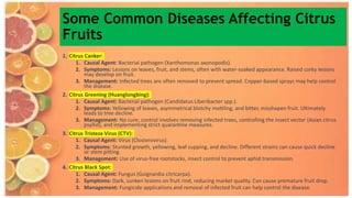 DISEASE OF CITRUS FRUITS: LIKE, ORANGE,L | PPT | Free Download