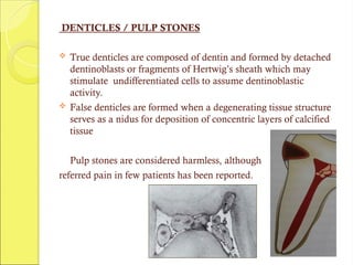 Disease of Dental Pulp powerpoint presentation | PPT