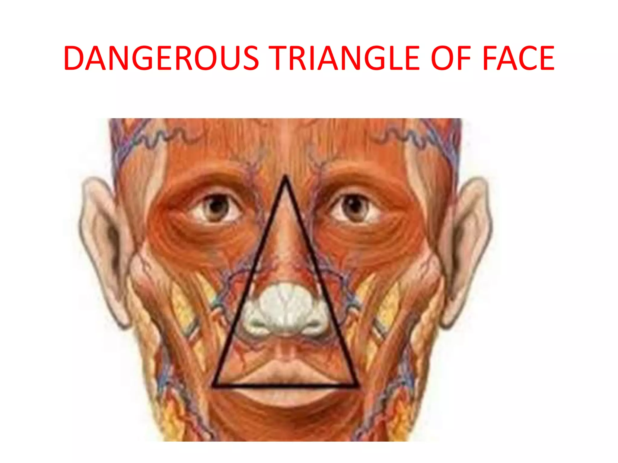 Disease of External Nose & Nasal Cavity | PPTX