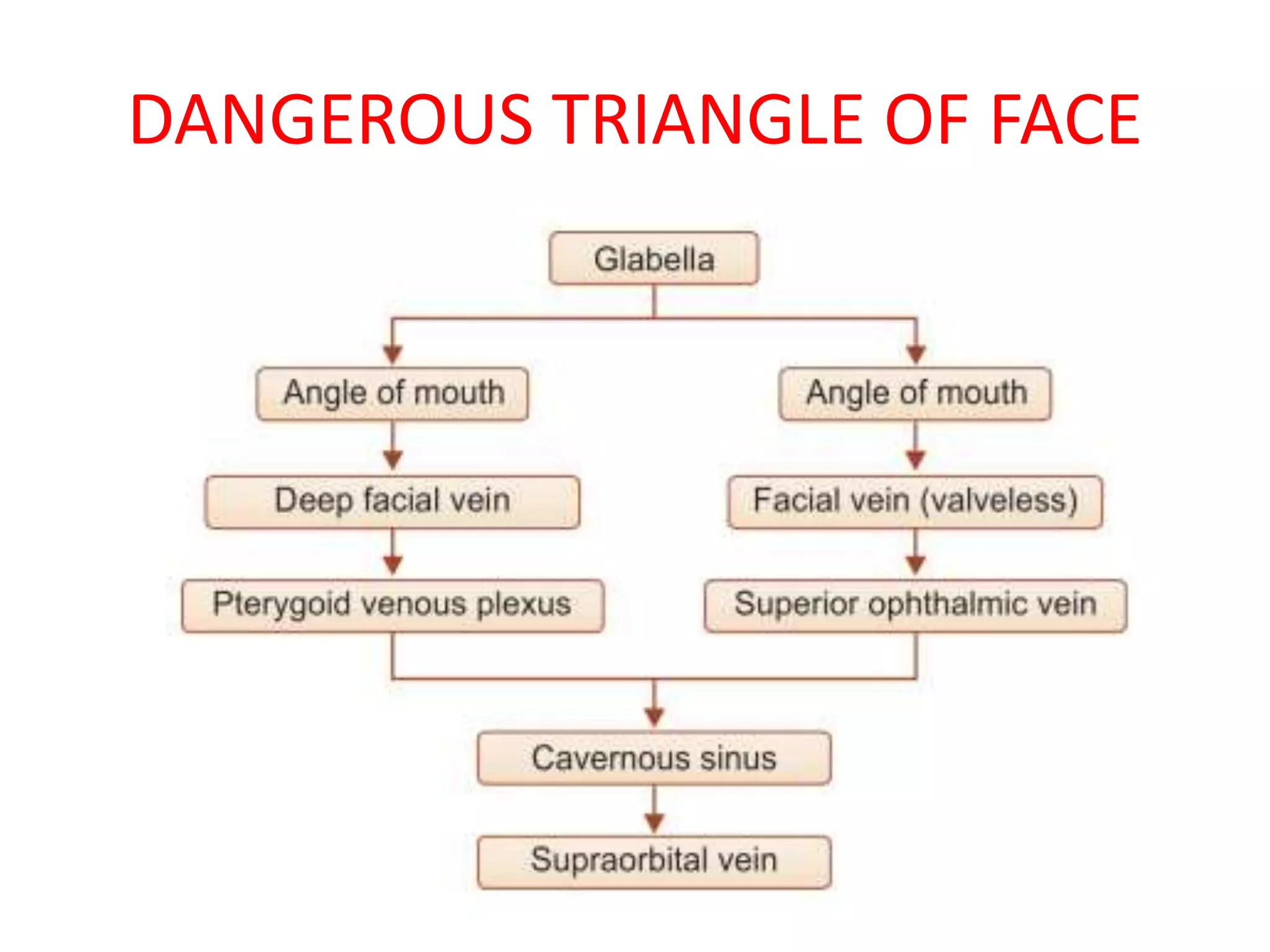 Disease of External Nose & Nasal Cavity | PPTX