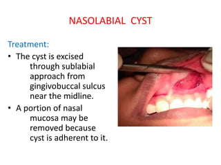 Disease of External Nose & Nasal Cavity | PPTX