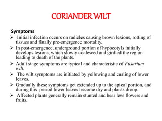Disease of fennel & coriander | PPTX