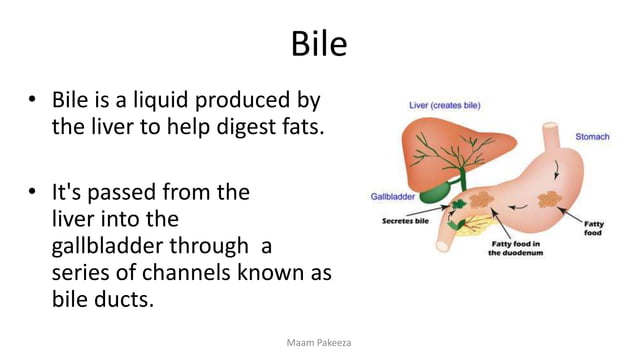 Disease of gall bladder | PPTX | Digestive Disorders | Diseases and Conditions