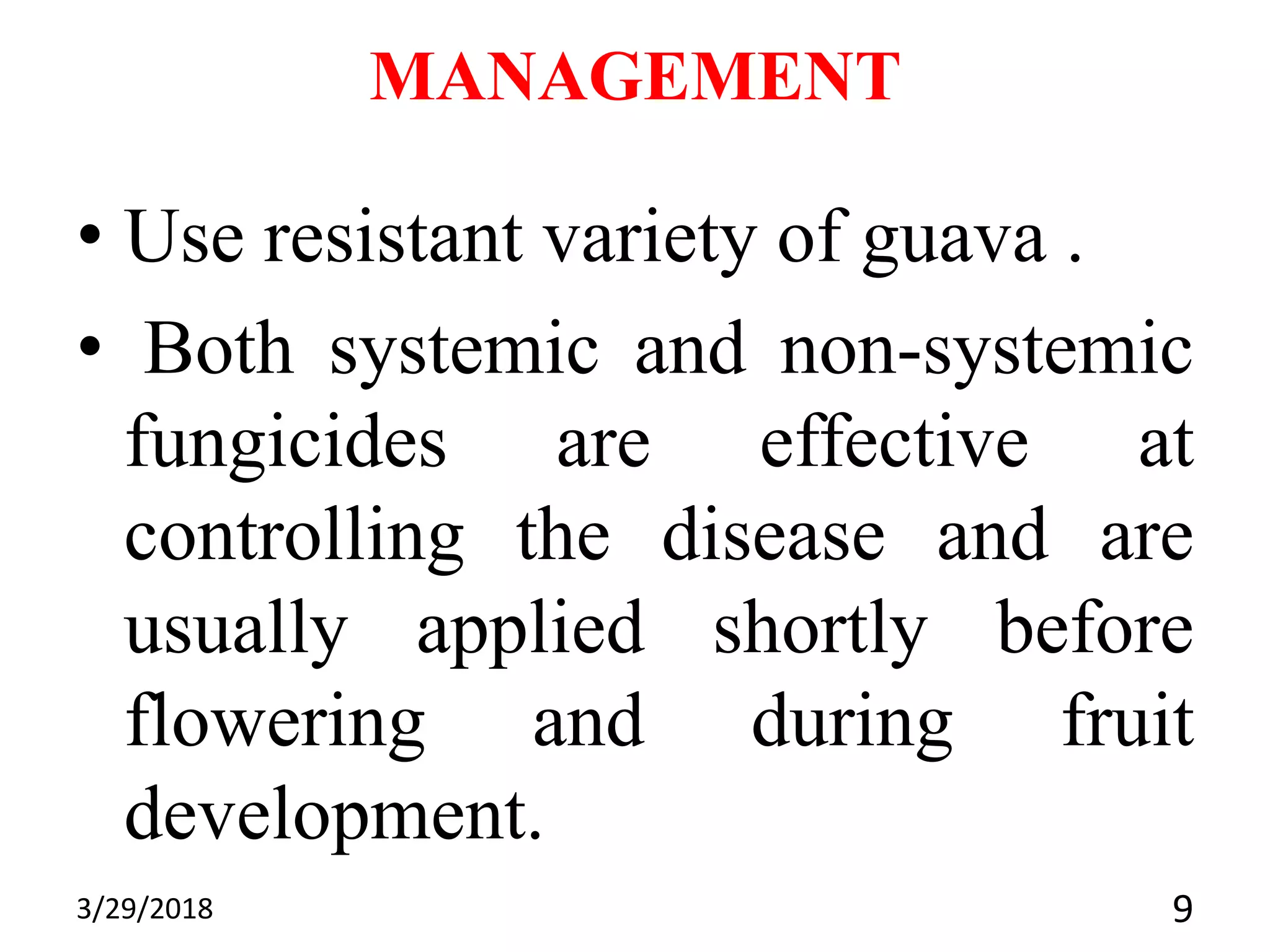Presentation on Disease of Guava and Management | PPTX