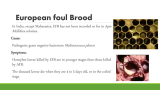 Disease of honeybees | PPTX | Biological Sciences | Science