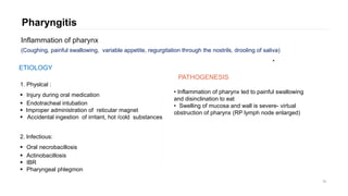 disease of mouth and associated structures.pptx
