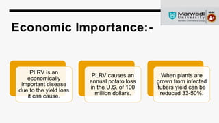 Disease of Potato (PLRV).pptx