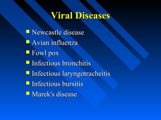 Disease of poultry | PPT