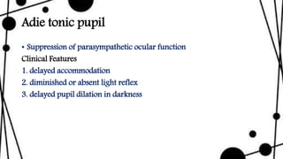 Diseases of Autonomic Nervous System I Autonomic Nervous System II ...