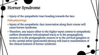 Diseases of Autonomic Nervous System I Autonomic Nervous System II ...