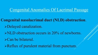 Disease of the lacrimal apparatus | PPTX