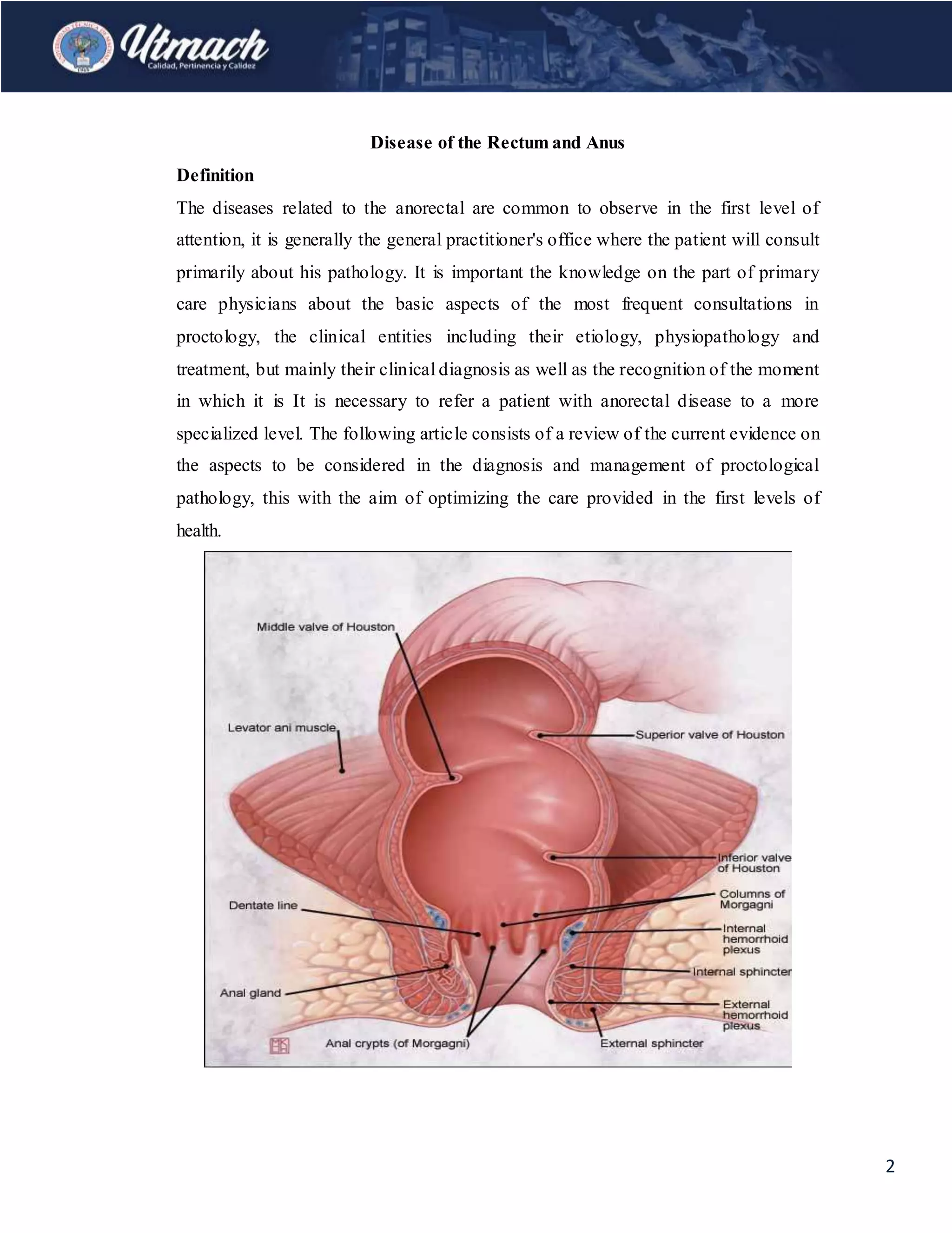 Disease of the rectum and anus | PDF