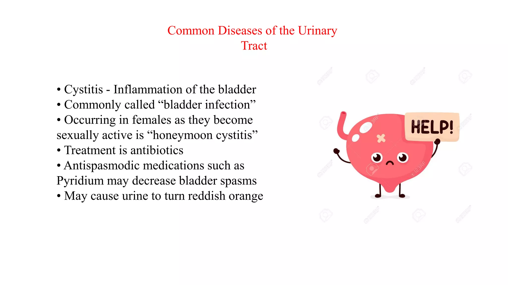 Disease of urinary system | PDF
