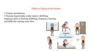 Disease of urinary system | PDF
