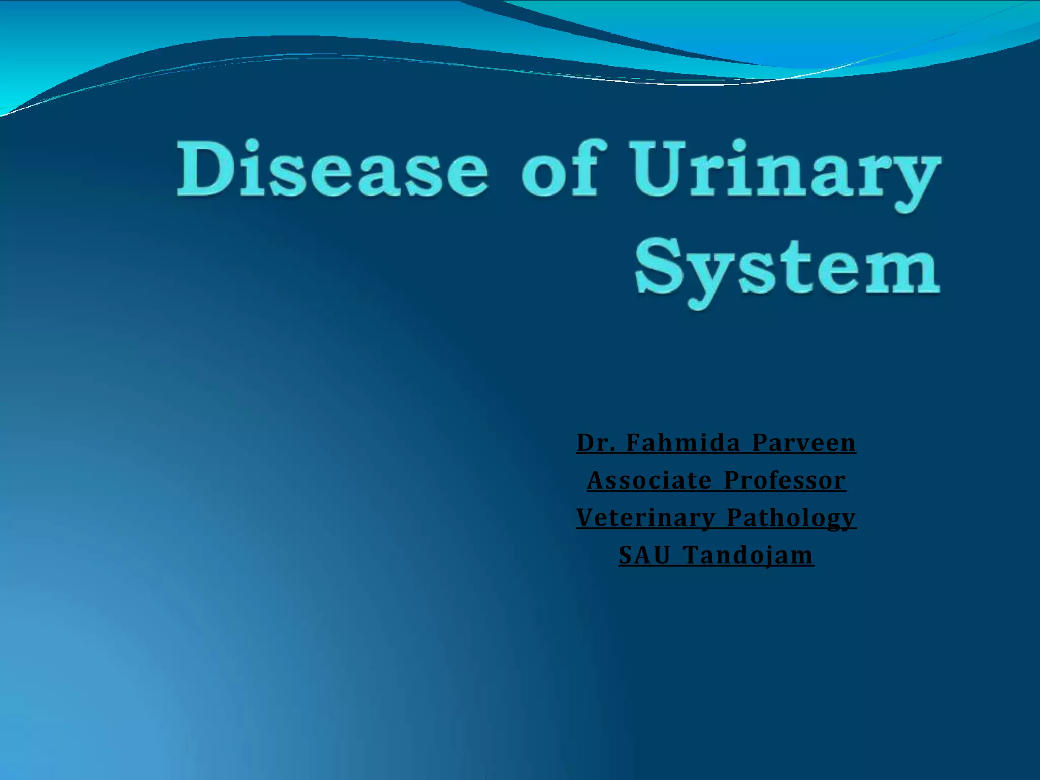 Disease of Urinary System.pptx