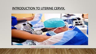 Disease of Uterine Cervix and Various Cytology Tests.pptx | Sexual ...
