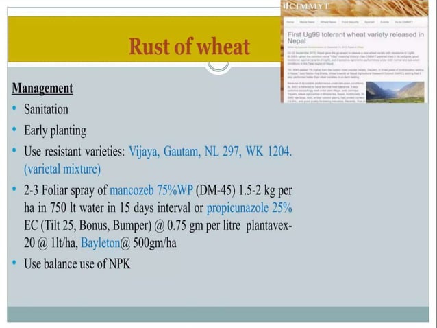 DISEASE OF WHEAT.pptx