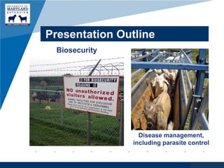 Disease & Parasite Control in Small Ruminants: Applied Solutions | PPTX