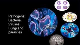 Disease presentation about and parasites | PPT