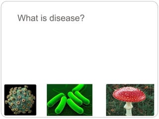 Understanding Disease Spread | PPTX