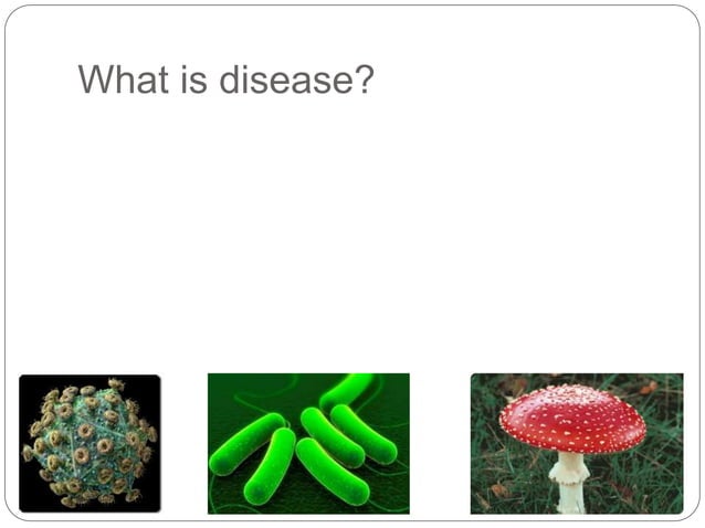 Understanding Disease Spread | PPT