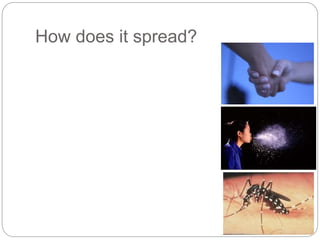 Understanding Disease Spread | PPTX
