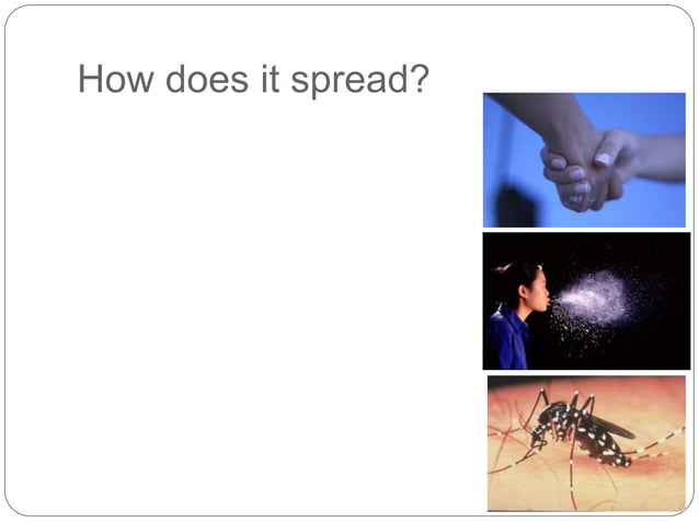 Understanding Disease Spread | PPT