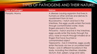 DISEASE PREVENTION AND CONTROL (Communicable).pptx