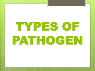 Disease prevention & control | PPTX