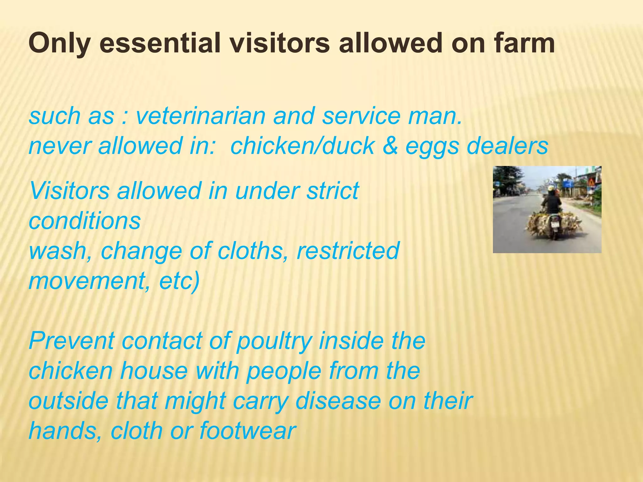 Disease prevention in desi chicken PPT by Dr chandra shekhar Godara DVM ...