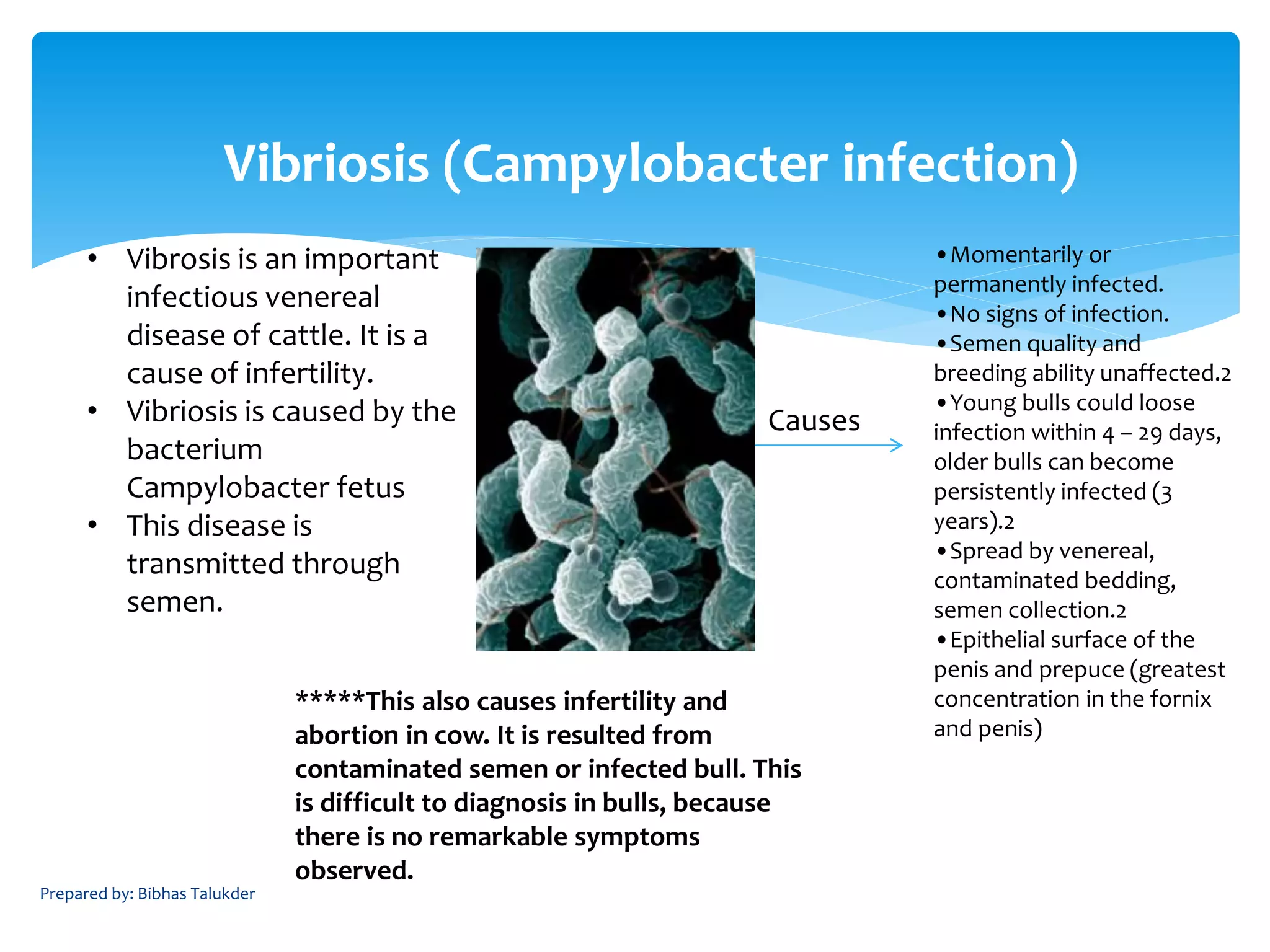 Disease related to breeding bull reproductive system and its management ...