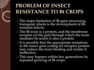 Disease reristance plant, production | PPTX
