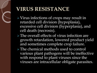 Disease reristance plant, production | PPTX